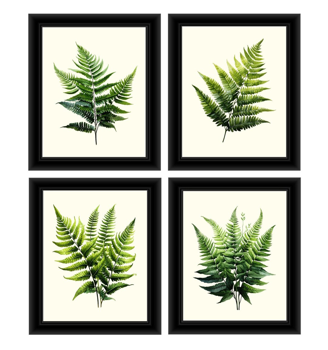 Fern Prints, Fern Theme, Botanical Wall Art, Botanical Prints, Set of 4 ...