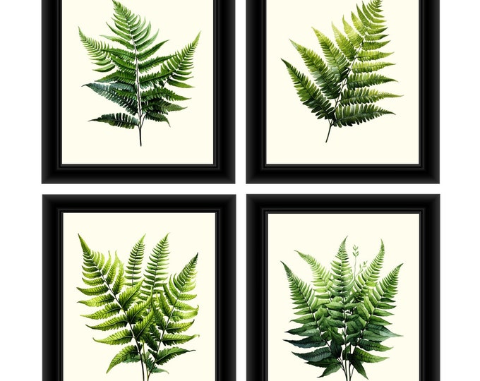 Fern Prints, Fern Theme, Botanical Wall Art, Botanical Prints, Set of 4 ...