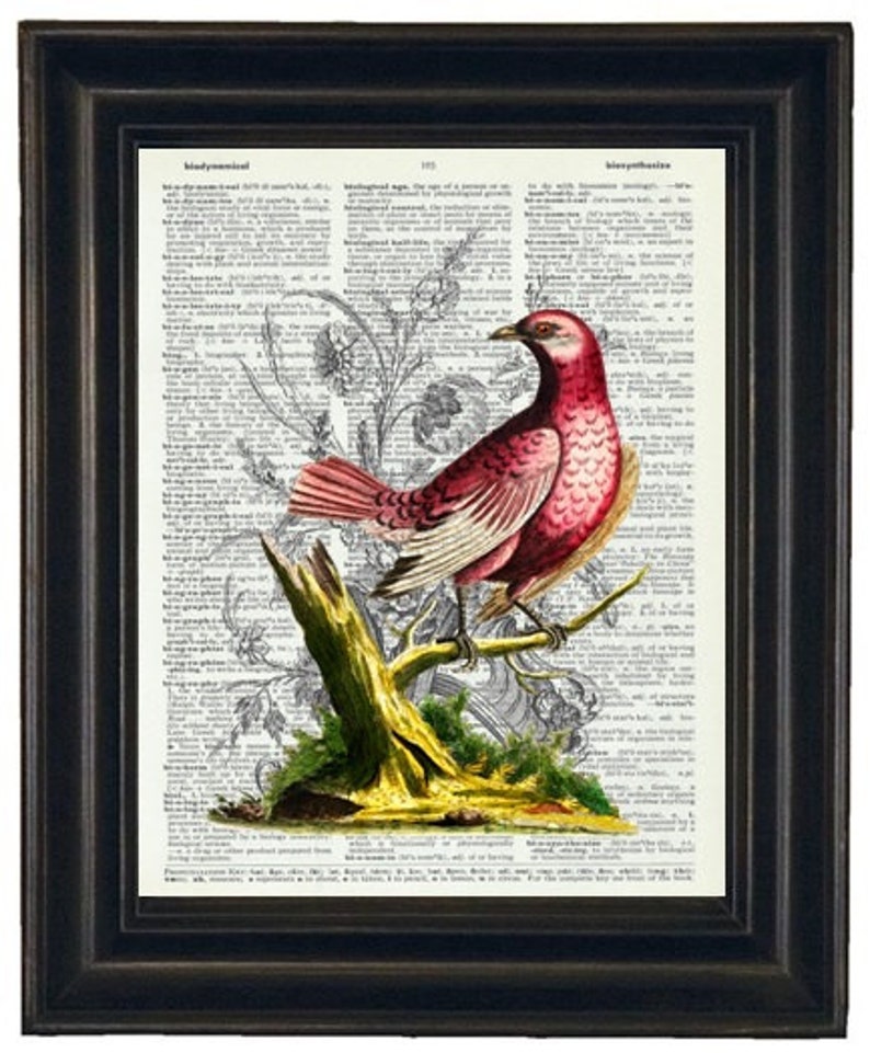 Bird Art Prints Set Dictionary Art Print Botanical Art Set | Etsy