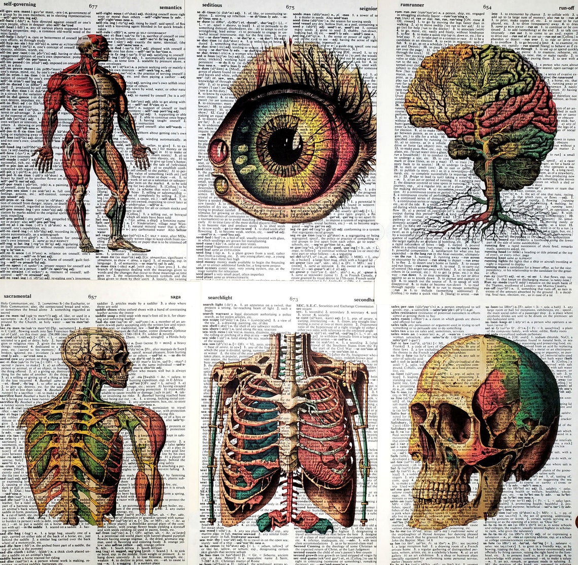 Dictionary Prints, Set of Anatomy Prints, Anatomy Prints, Anatomy Gift ...