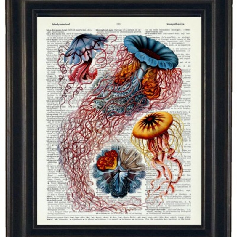 Dictionary Drawing - Etsy