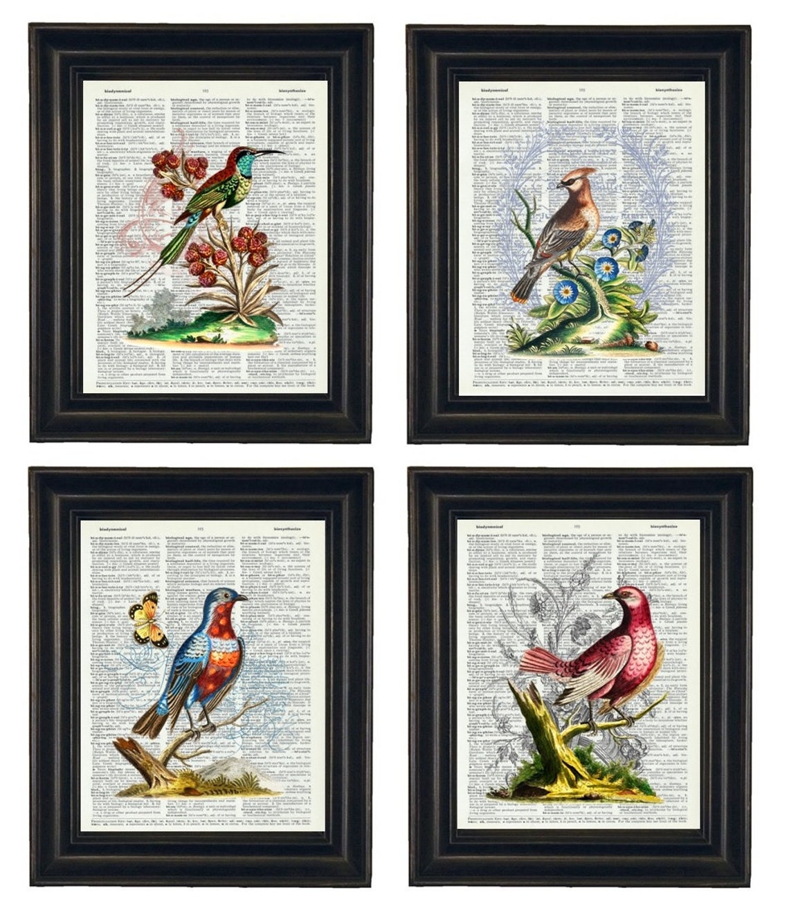 Bird Art Prints Set Dictionary Art Print Botanical Art Set | Etsy