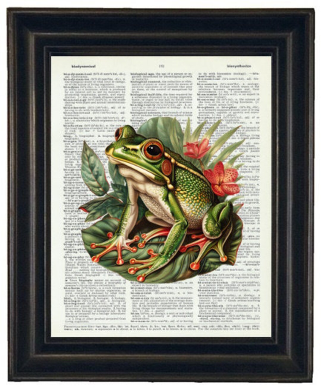 Frog Print, Frog Dictionary Print, Reptile Print - Etsy