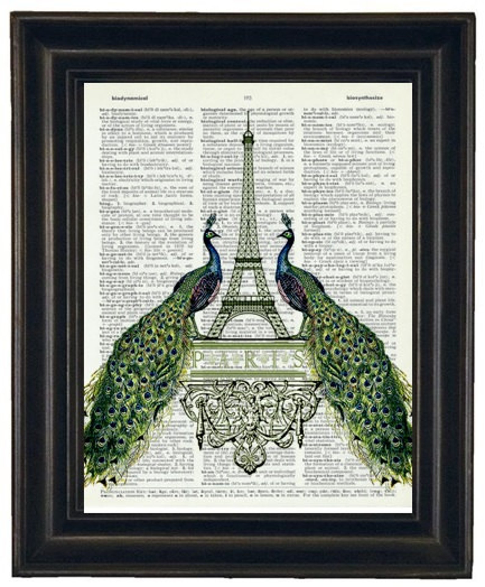 PEACOCK Art Print French Post Card Peacock and Bird Cage - Etsy