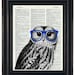 Owl Print Owl With Glasses Owl Art Print Owl Decor Owl Head Dictionary ...