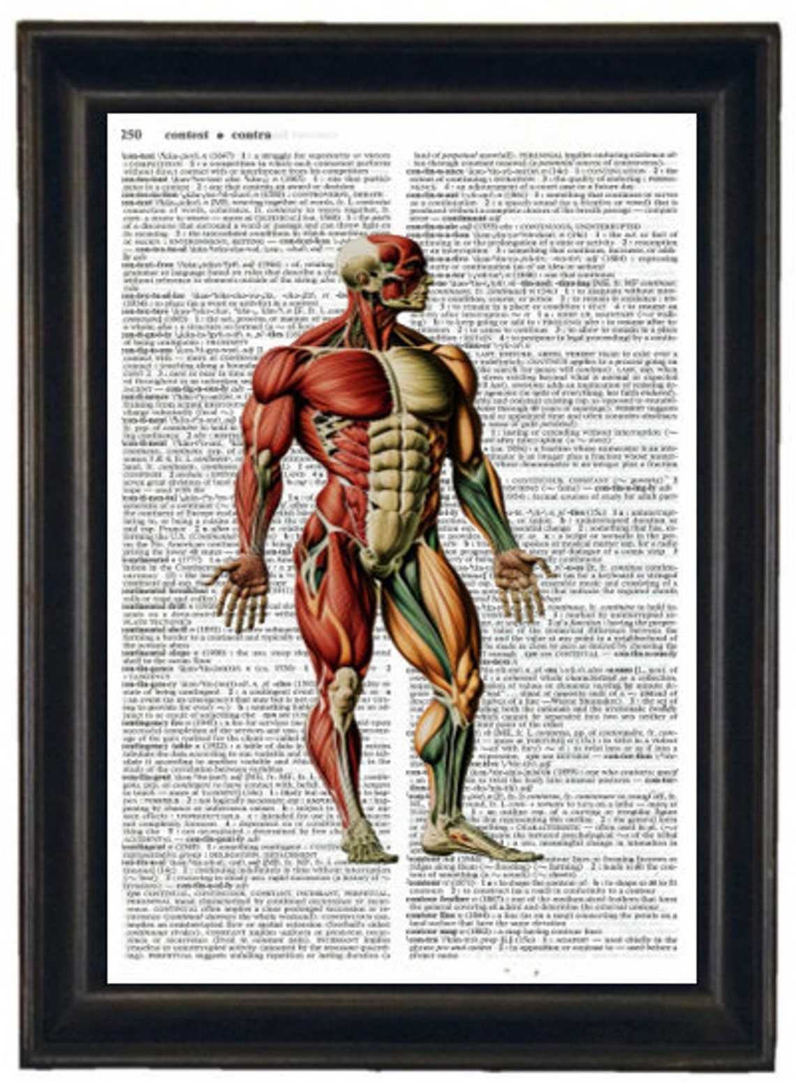 Dictionary Prints, Set of Anatomy Prints, Anatomy Prints, Anatomy Gift ...