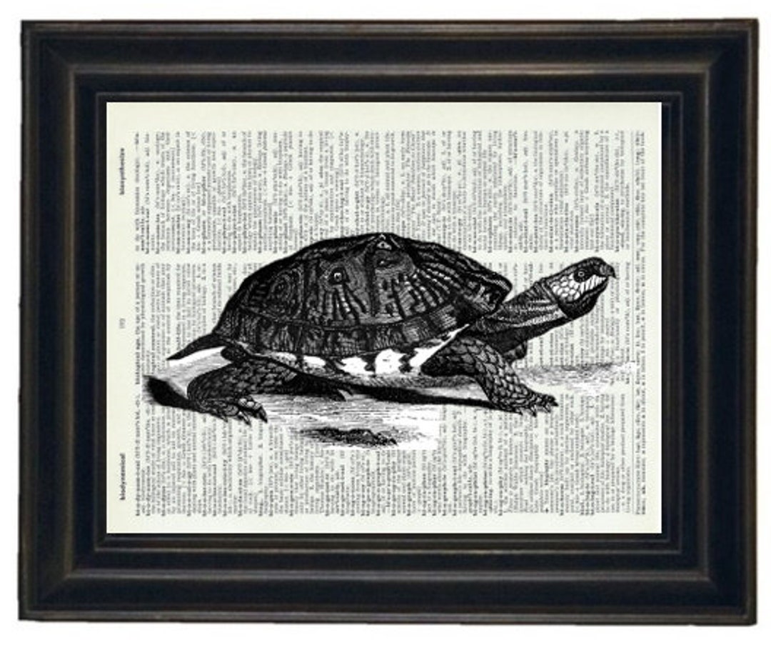 Turtle Print, Turtle Art, Turtle Dictionary Print, Turtle Wall Art - Etsy