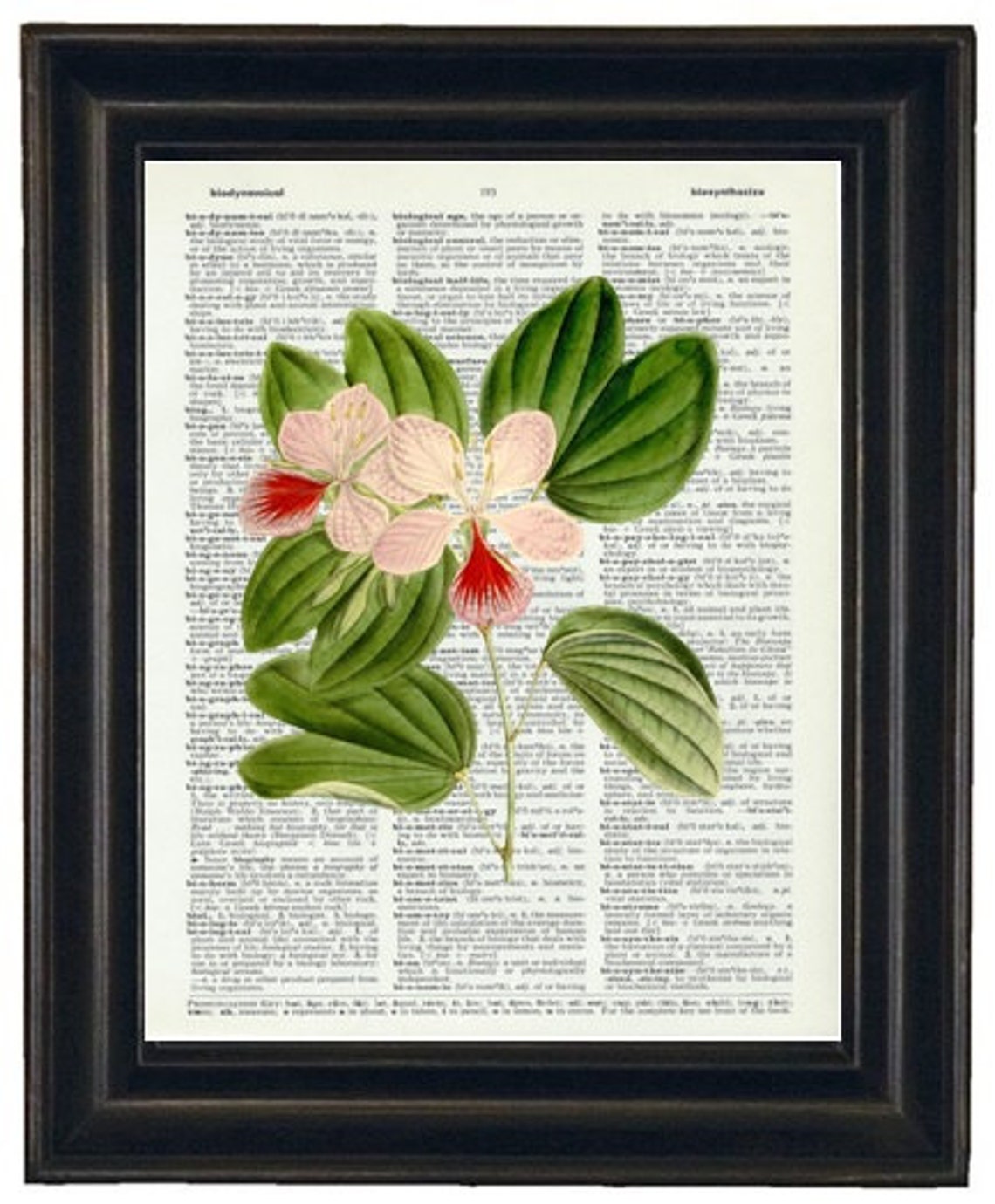 Botanical Wall Art Dictinary Prints Tropical Wall Art Leaf Dictionary ...