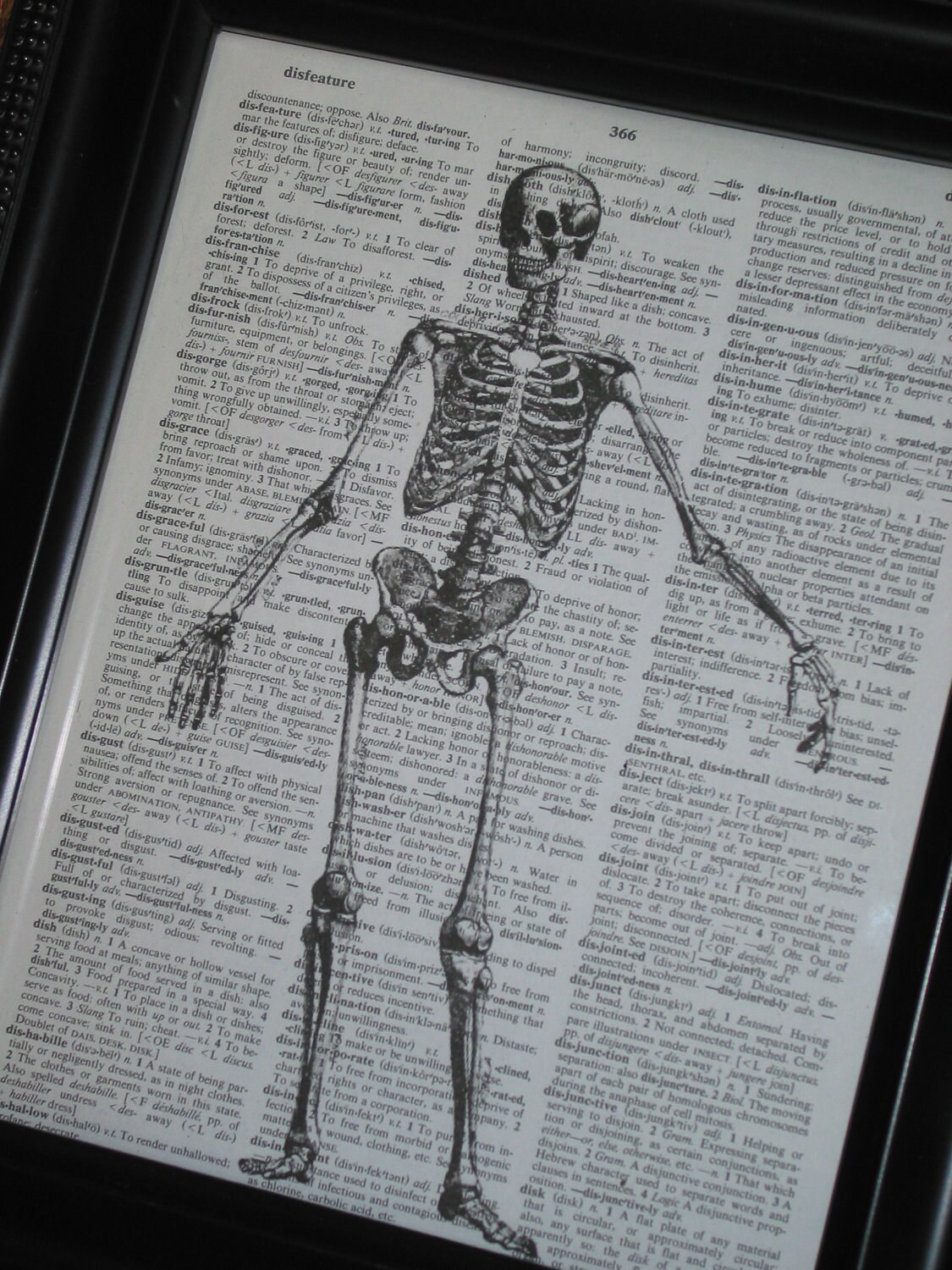 Skeleton Print, Anatomy Prints, Skeleton Wall Art - Etsy