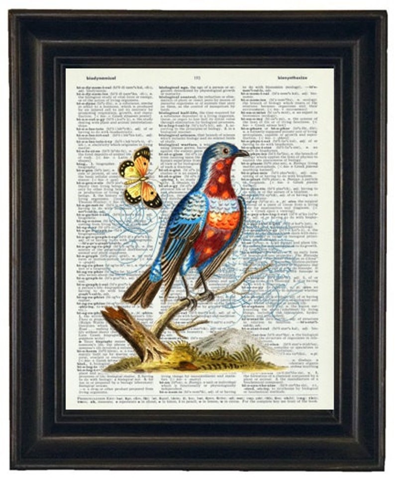 Bird Art Prints Set, Dictionary Art Print, Botanical Art Set of 4 ...