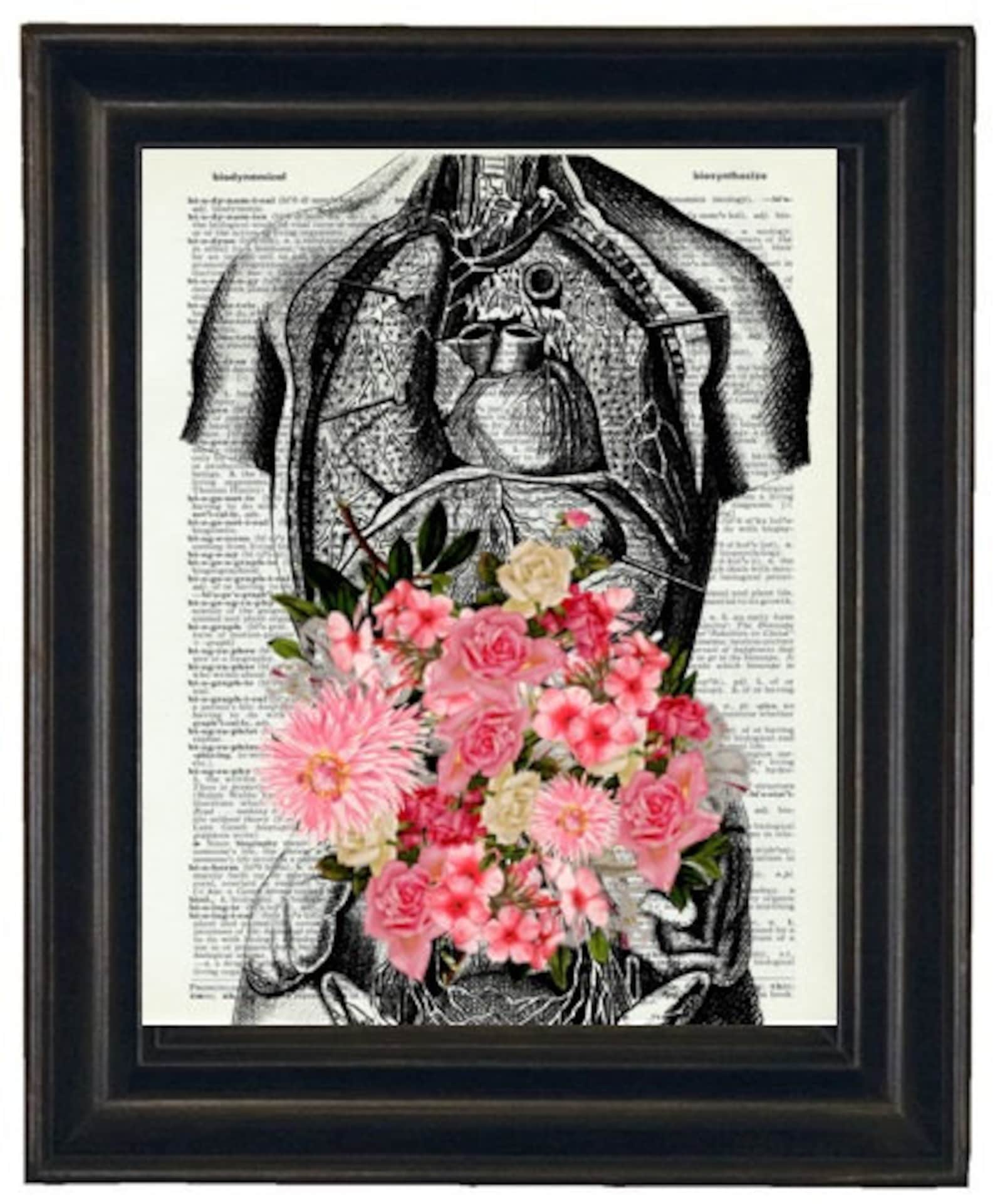 Anatomy Art Anatomy Illustration with Flowers Set of Six A | Etsy