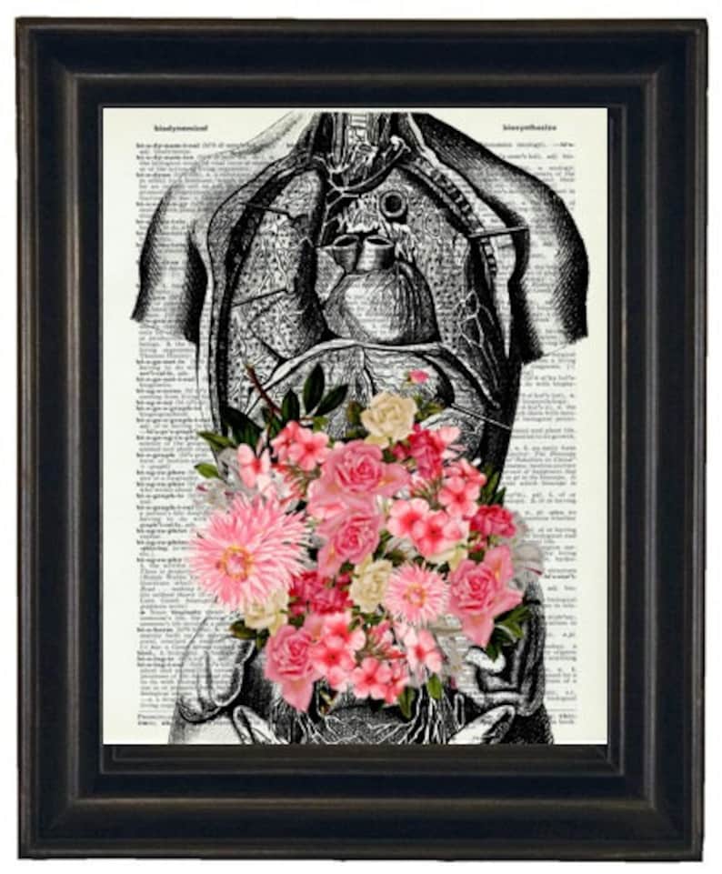 Anatomy Art Prints - Etsy