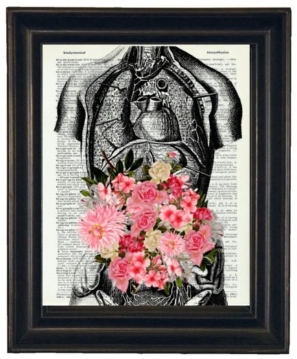 Anatomy Art, Anatomy Illustration With Flowers Set of Six A HHP ...