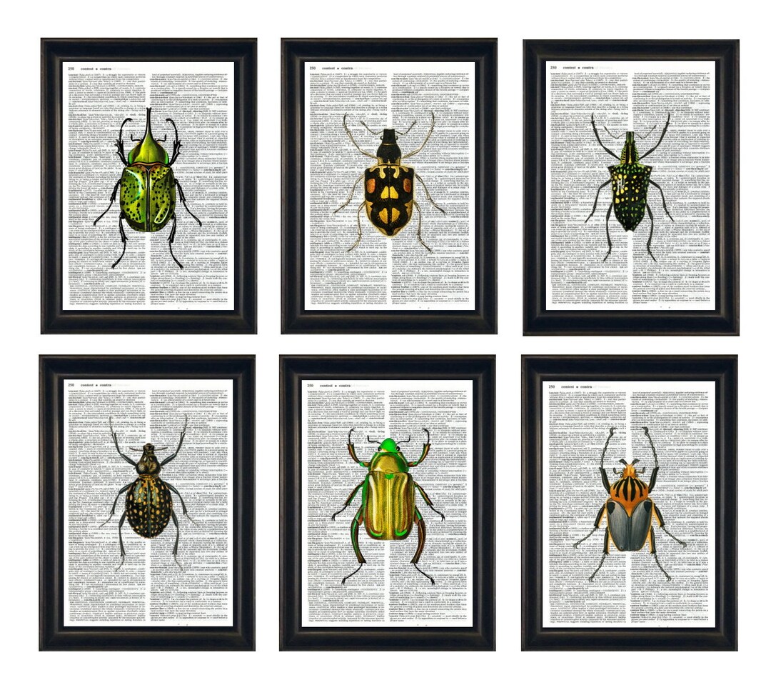Dictionary Prints, Set of Bug Prints, Bug Dictionary Prints, Bug Are ...