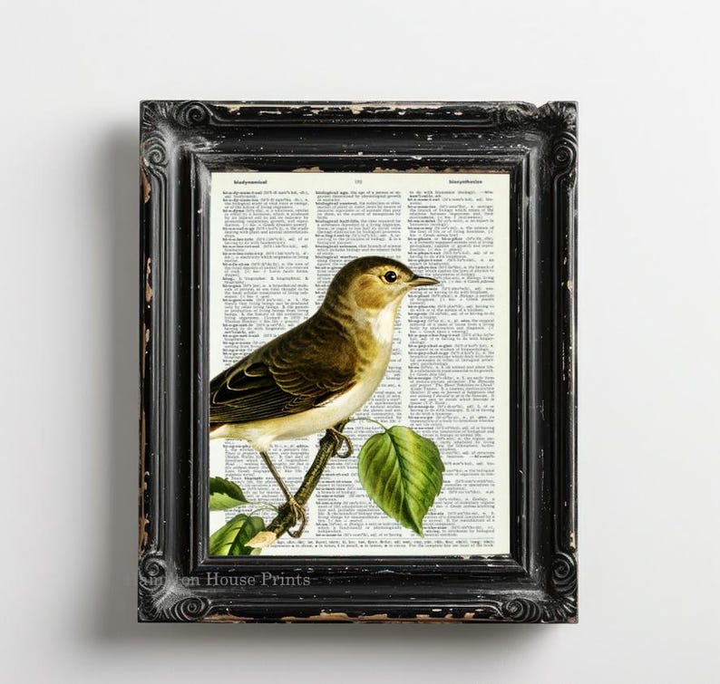 Bird Print, Bird Dictionary Print, Bird Theme Print, Bird Art - Etsy