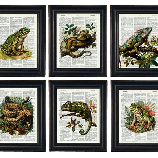 Reptile Print - Etsy