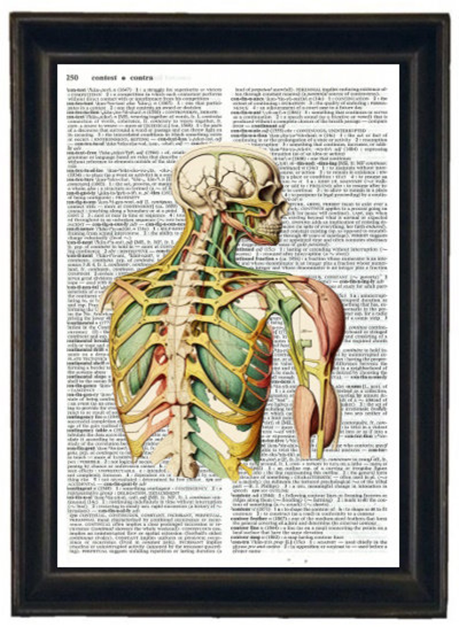 Dictionary Prints, Set of Anatomy Prints, Anatomy Prints, Anatomy Gift ...