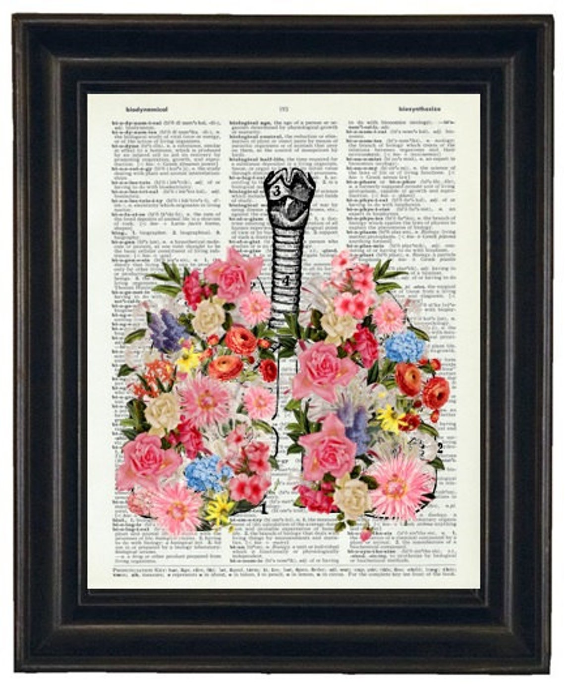 Anatomy Art Anatomy Illustration with Flowers Set of Six A | Etsy