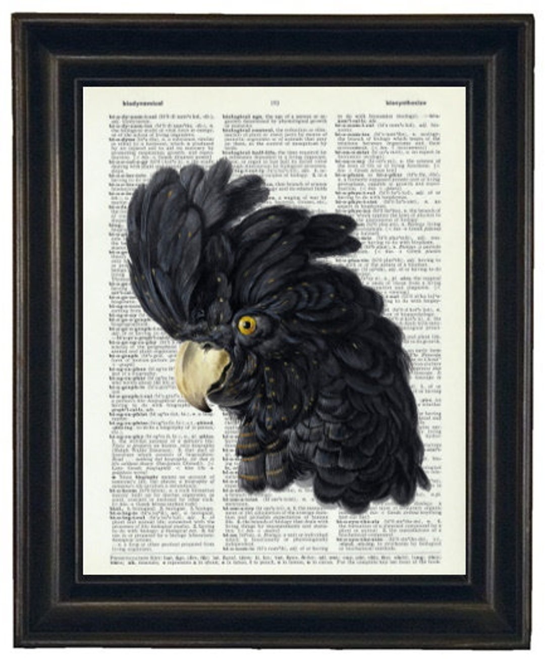 Cockatoo Print, Bird Art, Bird Print, Bird on Dictionary Print ...