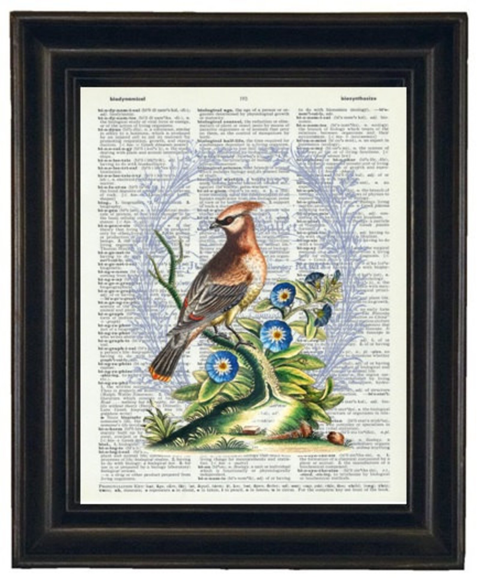 Bird Art Prints Set Dictionary Art Print Botanical Art Set | Etsy