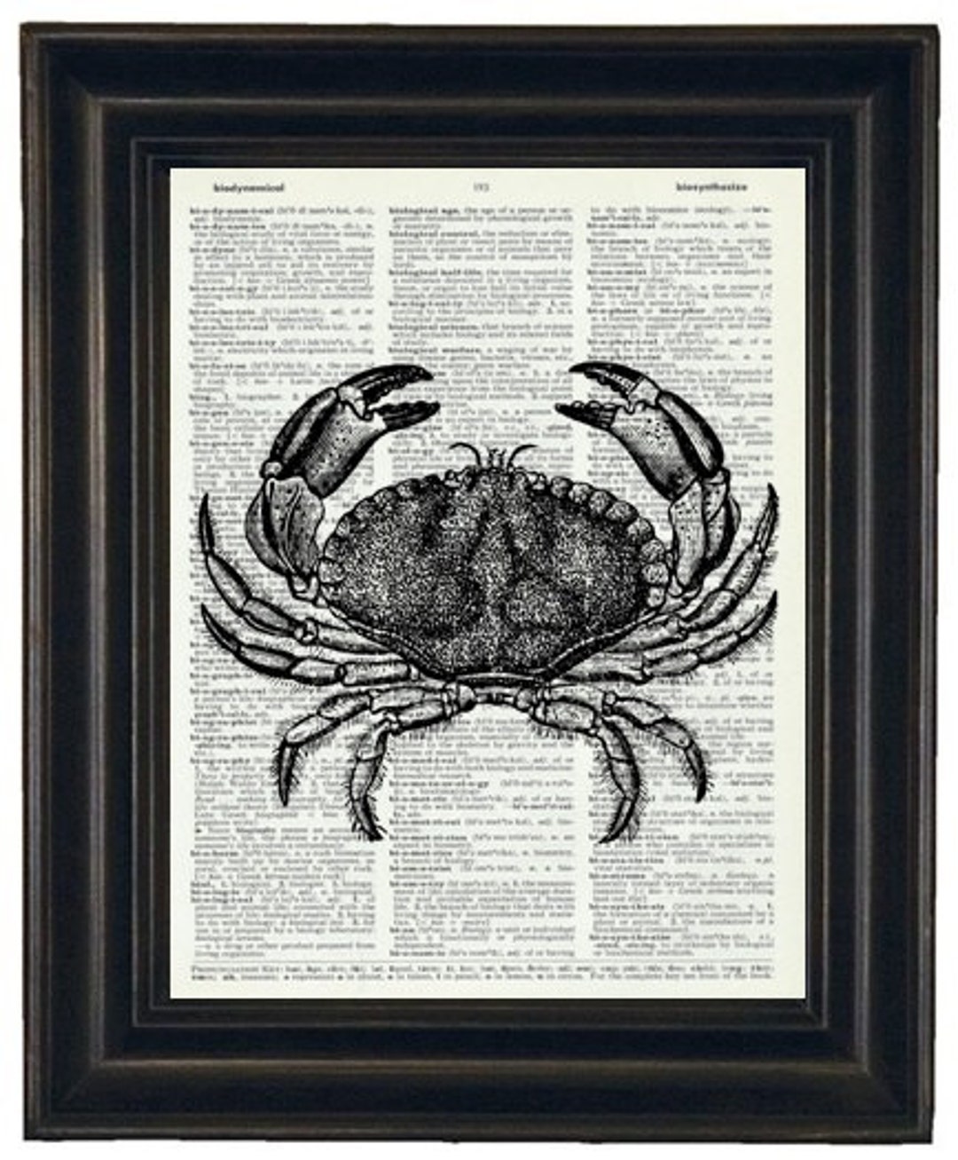 Crab Prints, Coastal Art Print, Crab Wall Art, Ocean Art Prints - Etsy