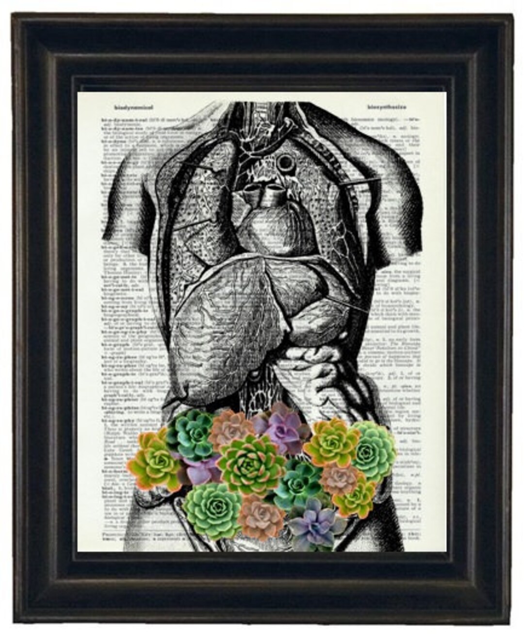 Body Illustration With Succulents, A HHP Original Design Anatomy Art ...