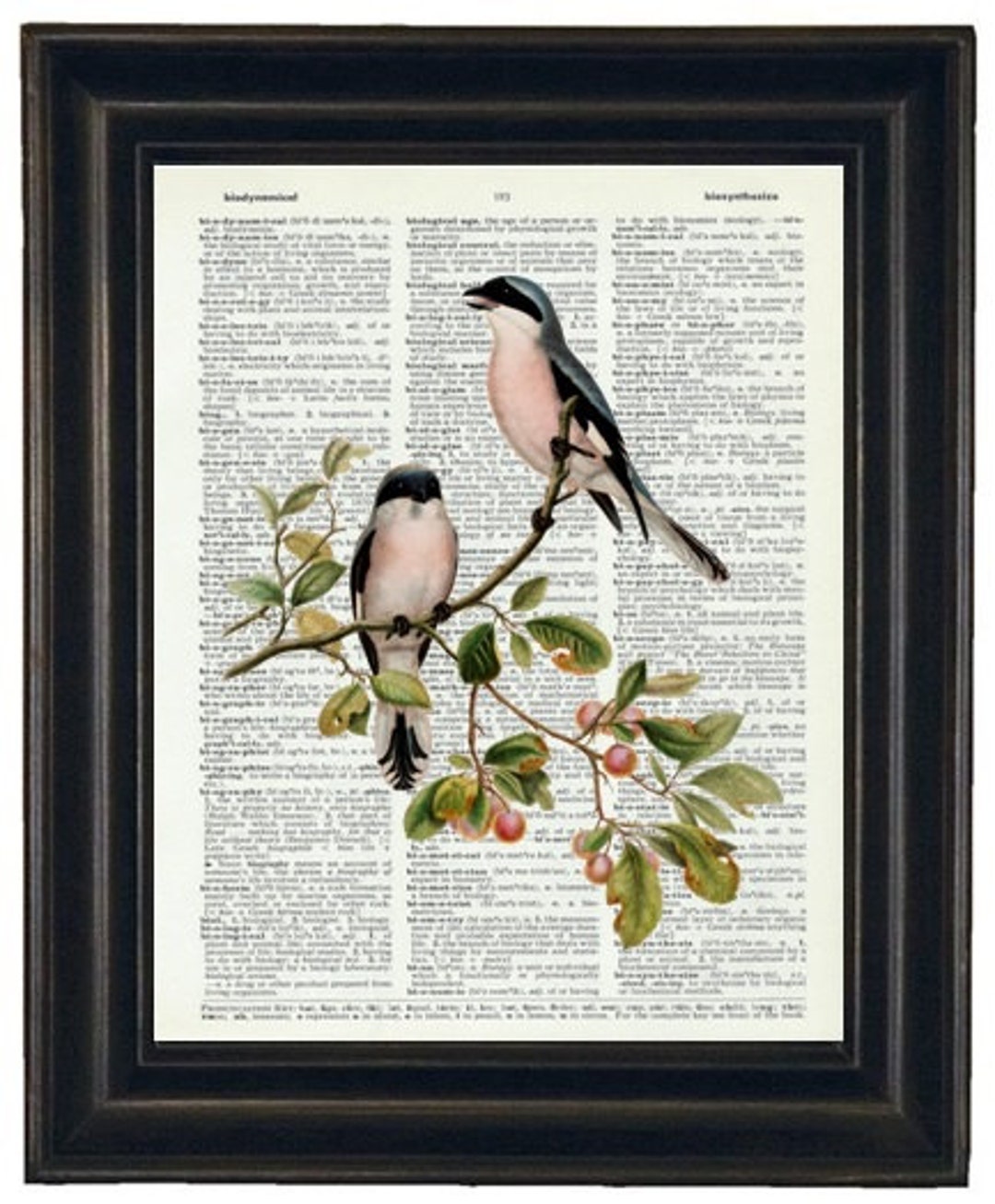 Blue Bird Dictionary Art Print Vintage Dictionary Book Art Page ...