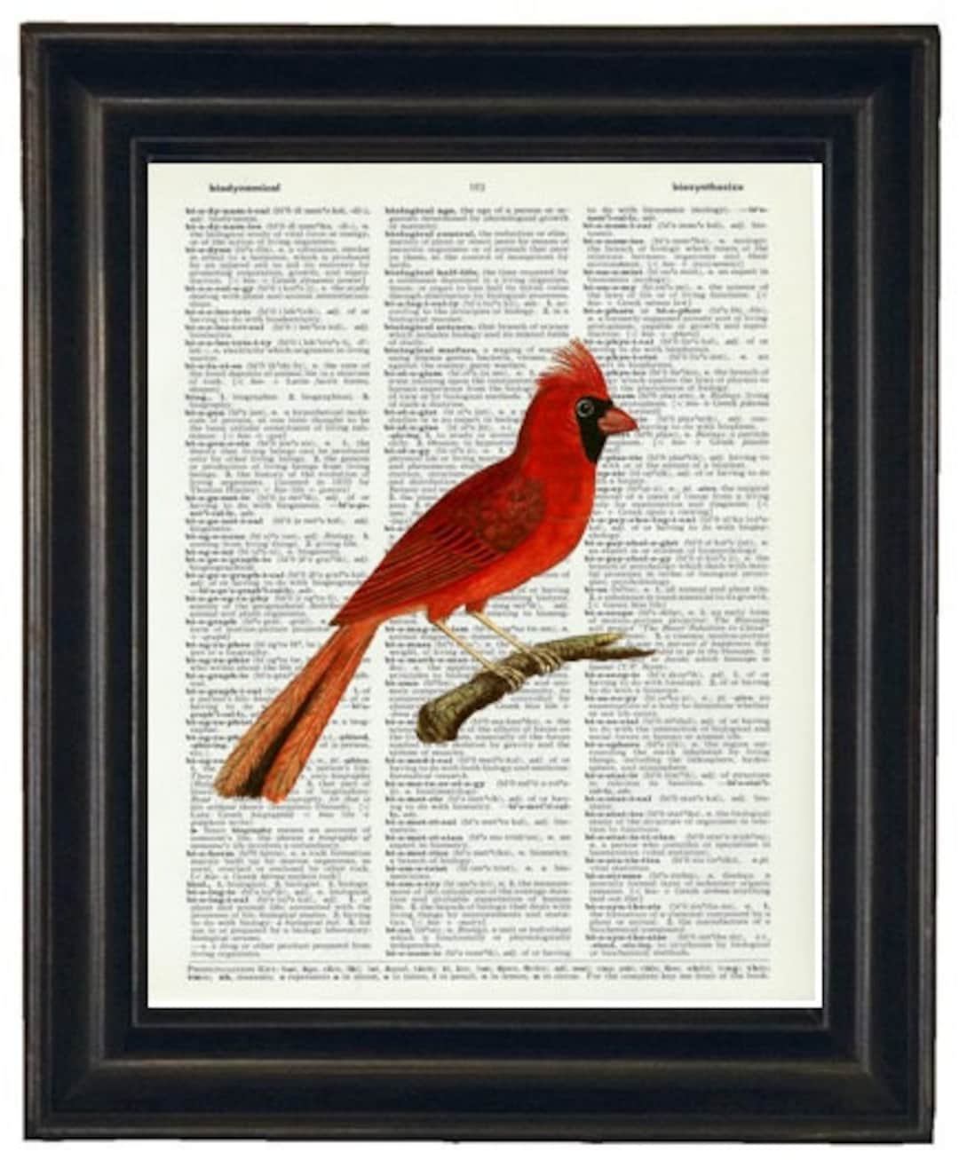 Cardinal Art Print, Dictionary Page Print, Cardinal Dictionary Art ...