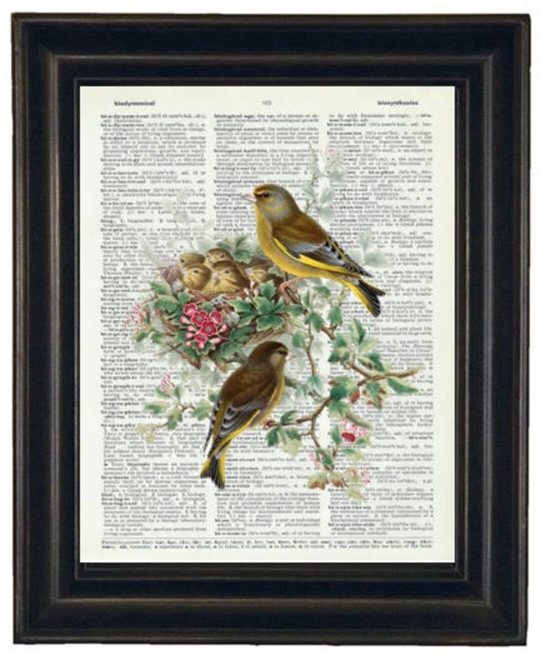 Dictionary Art Print Wall Decor Bird on Dictionary Page Bird Art Print ...