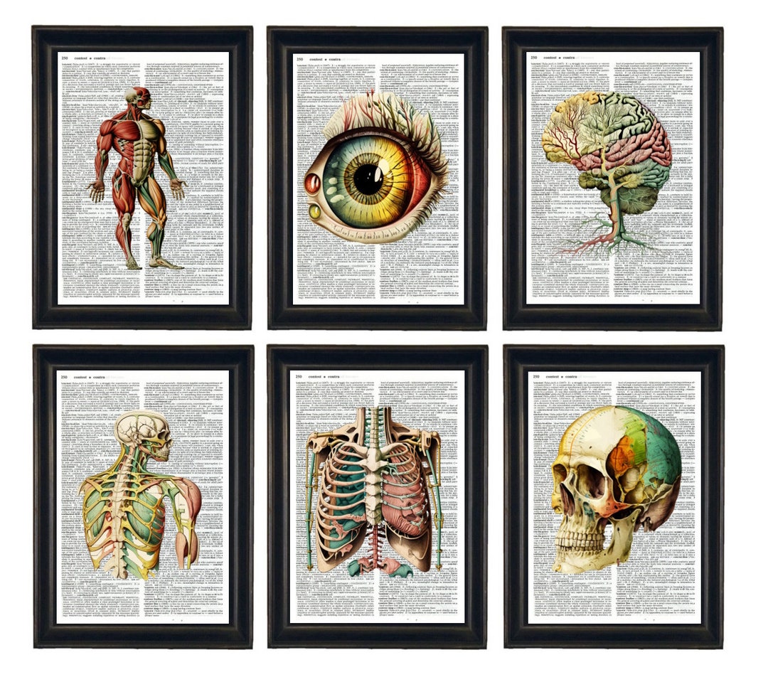 Dictionary Prints, Set of Anatomy Prints, Anatomy Prints, Anatomy Gift ...