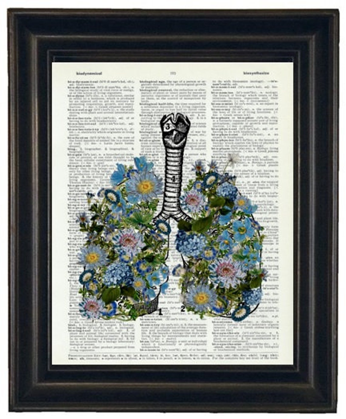 Anatomy Art Anatomy Illustration With Flowers Set of Four A - Etsy