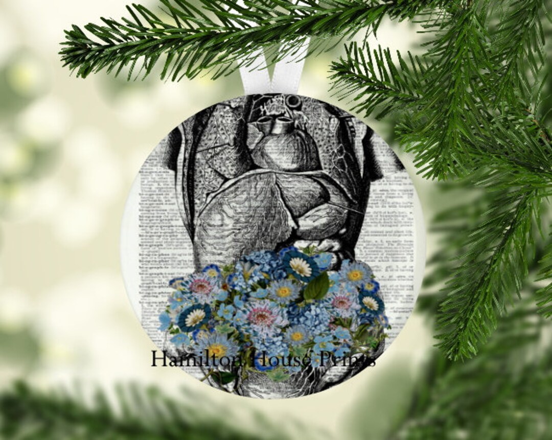 Anatomy Ornament, Anatomy Christmas, Anatomy Gift, Christmas Ornament ...