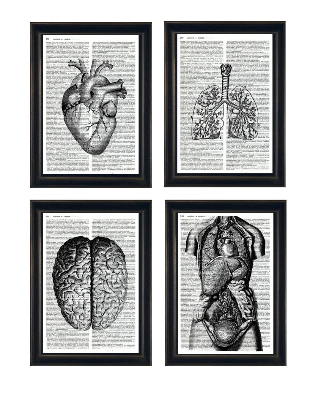 Anatomy Themed Prints, Anatomy Art Prints, Set of Four Anatomy Prints ...