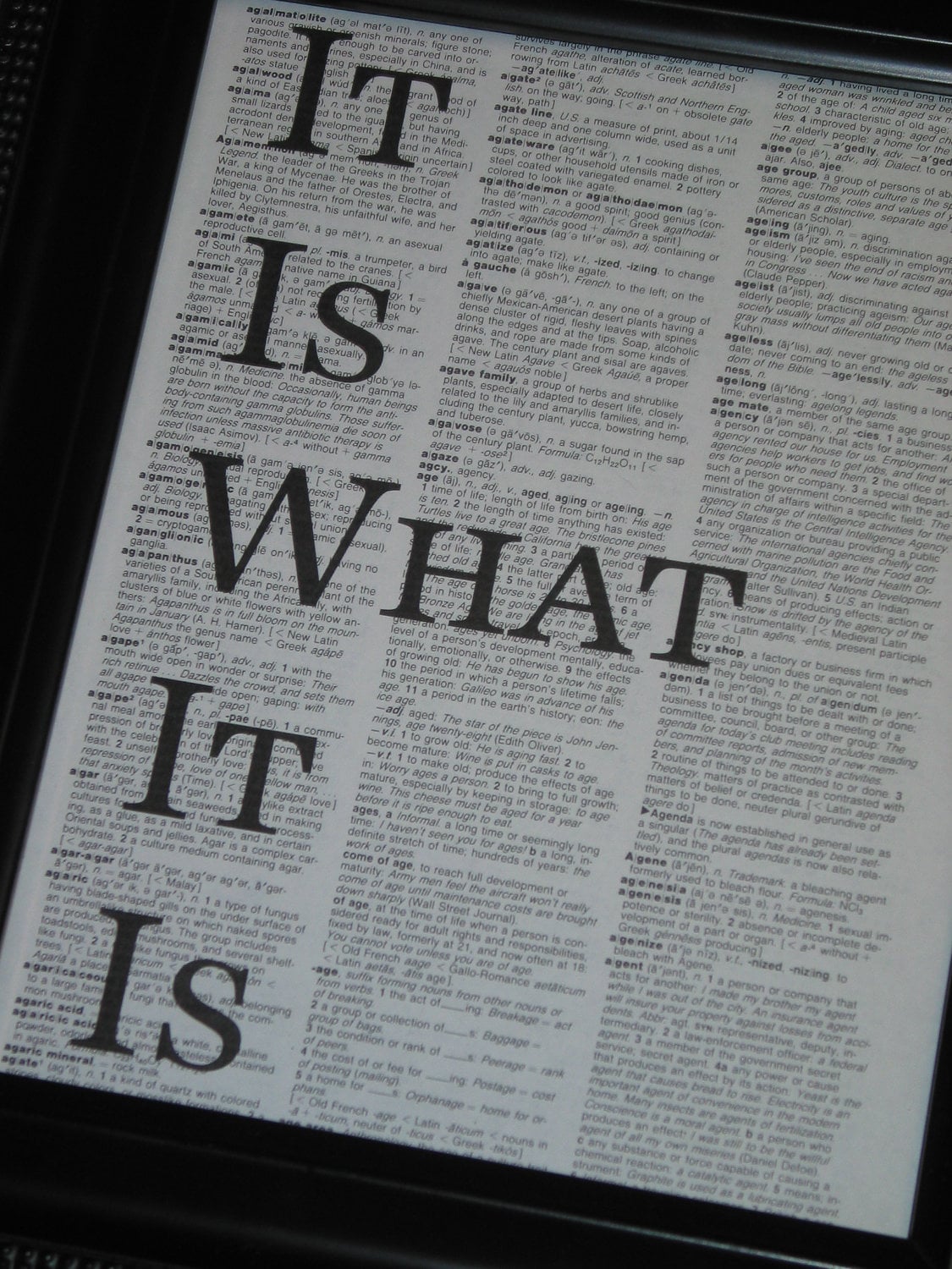 Typography Dictionary Art Print Quote Saying Dictionary Book | Etsy