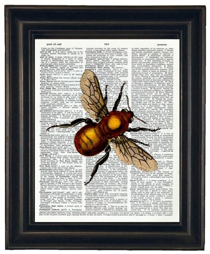 Bee Dictionary Art Book Page Print Upcycled Dictionary Art Just Bee on ...
