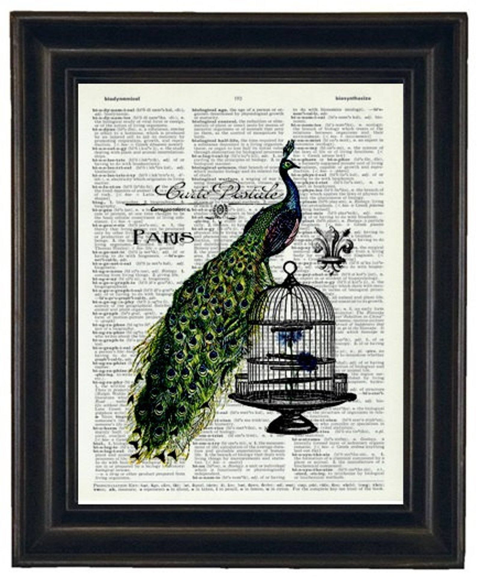 PEACOCK Art Print French Post Card Peacock and Bird Cage - Etsy