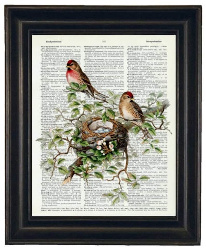 Dictionary Art Print Wall Decor Bird on Dictionary Page Bird Art Print ...
