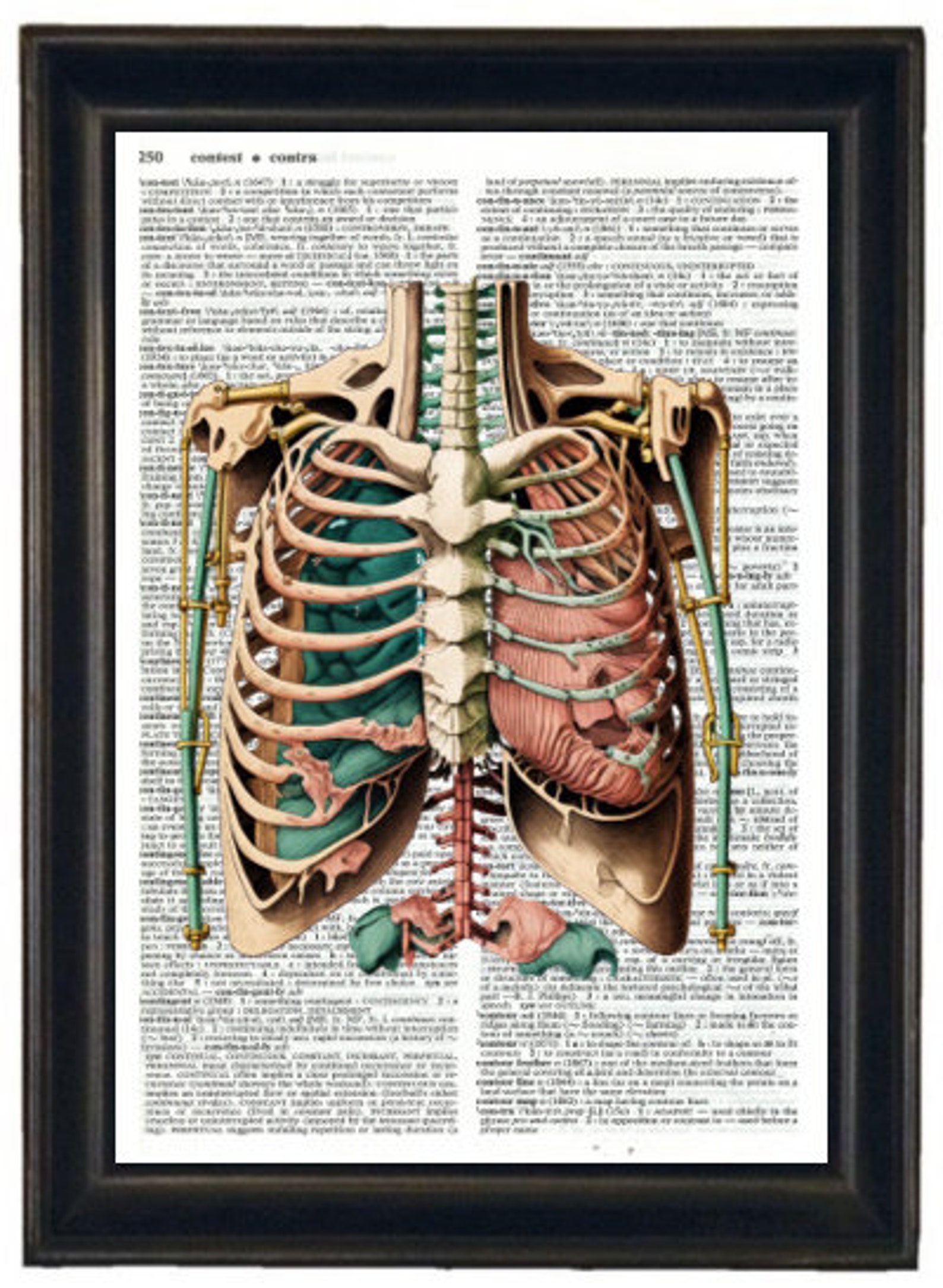 Dictionary Prints, Set of Anatomy Prints, Anatomy Prints, Anatomy Gift ...