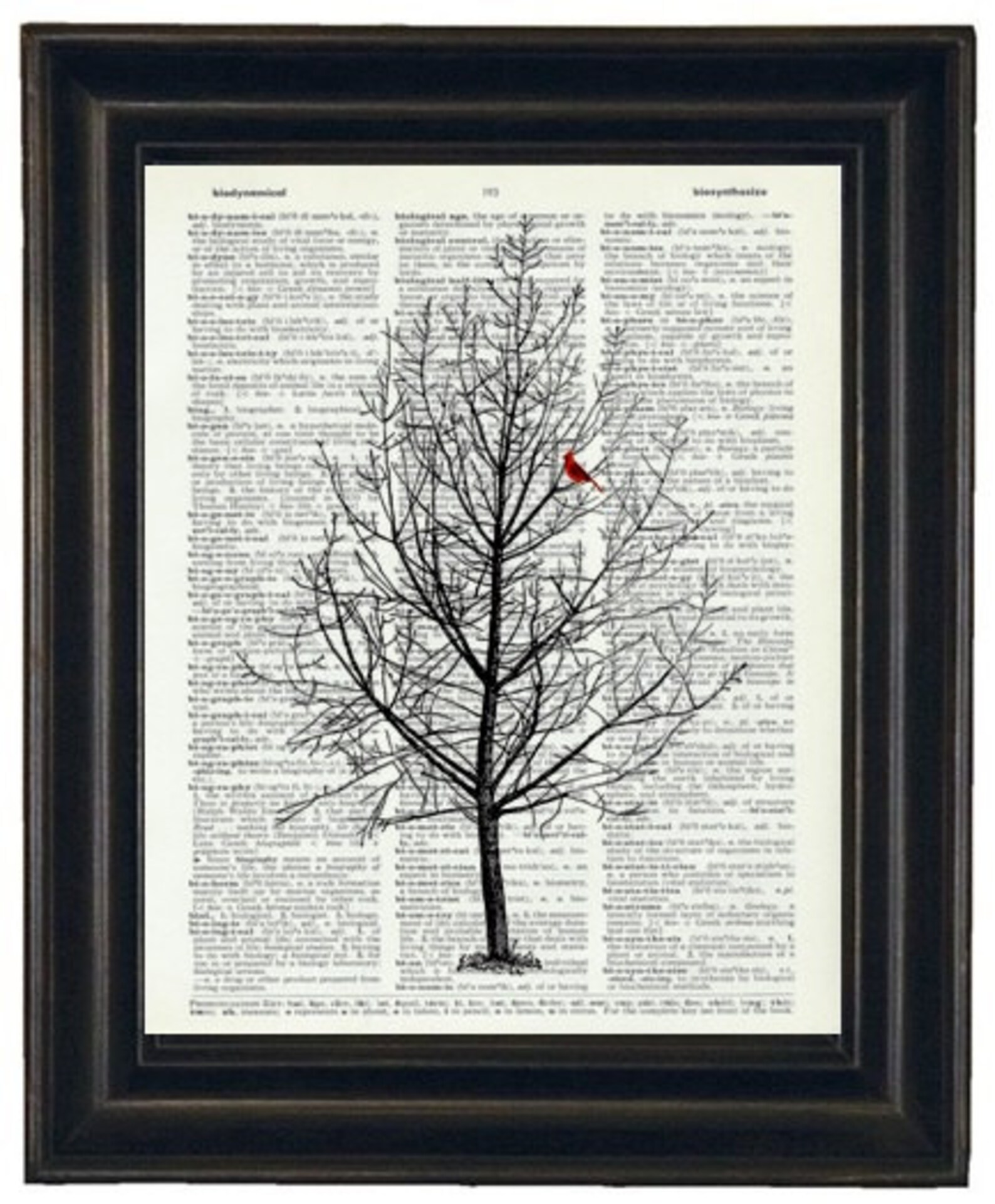 Cardinal Print Set of 4,cardinal Art Print Dictionary HHP Original Art ...