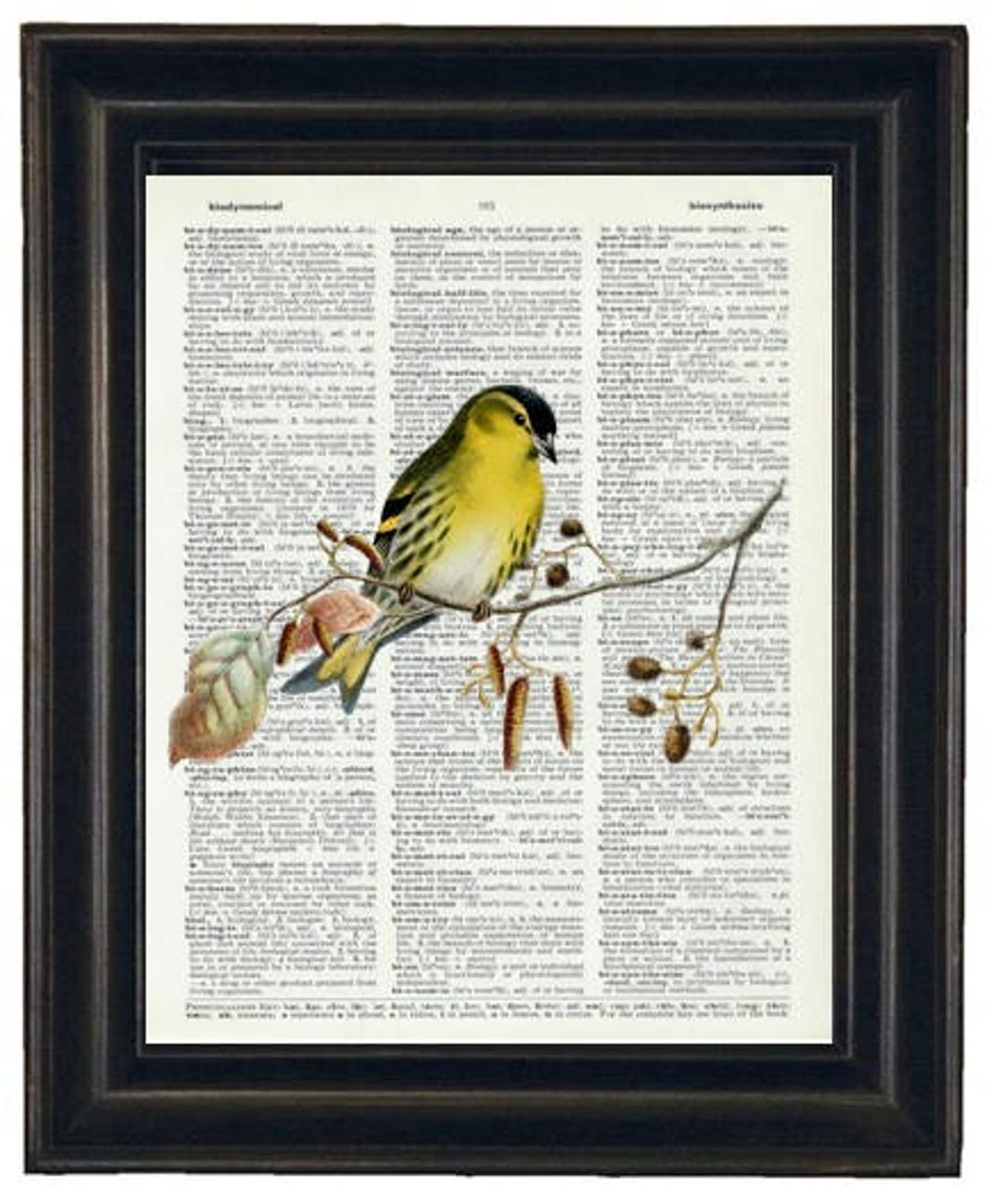 Dictionary Art Print Wall Decor Bird on Dictionary Page Bird Art Print ...