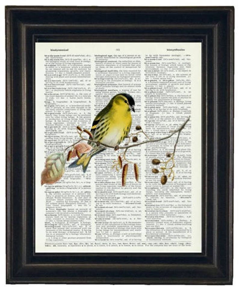 Dictionary Art Print Wall Decor Bird on Dictionary Page Bird - Etsy
