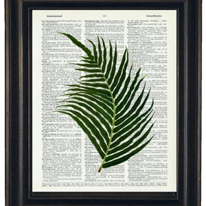 Botanical Wall Art Dictinary Prints Tropical Wall Art Leaf Dictionary ...
