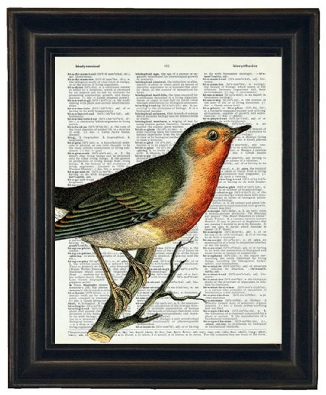 Bird Art Print, Bird Print, Dictionary Bird Art Print, Upcycled Vintage ...
