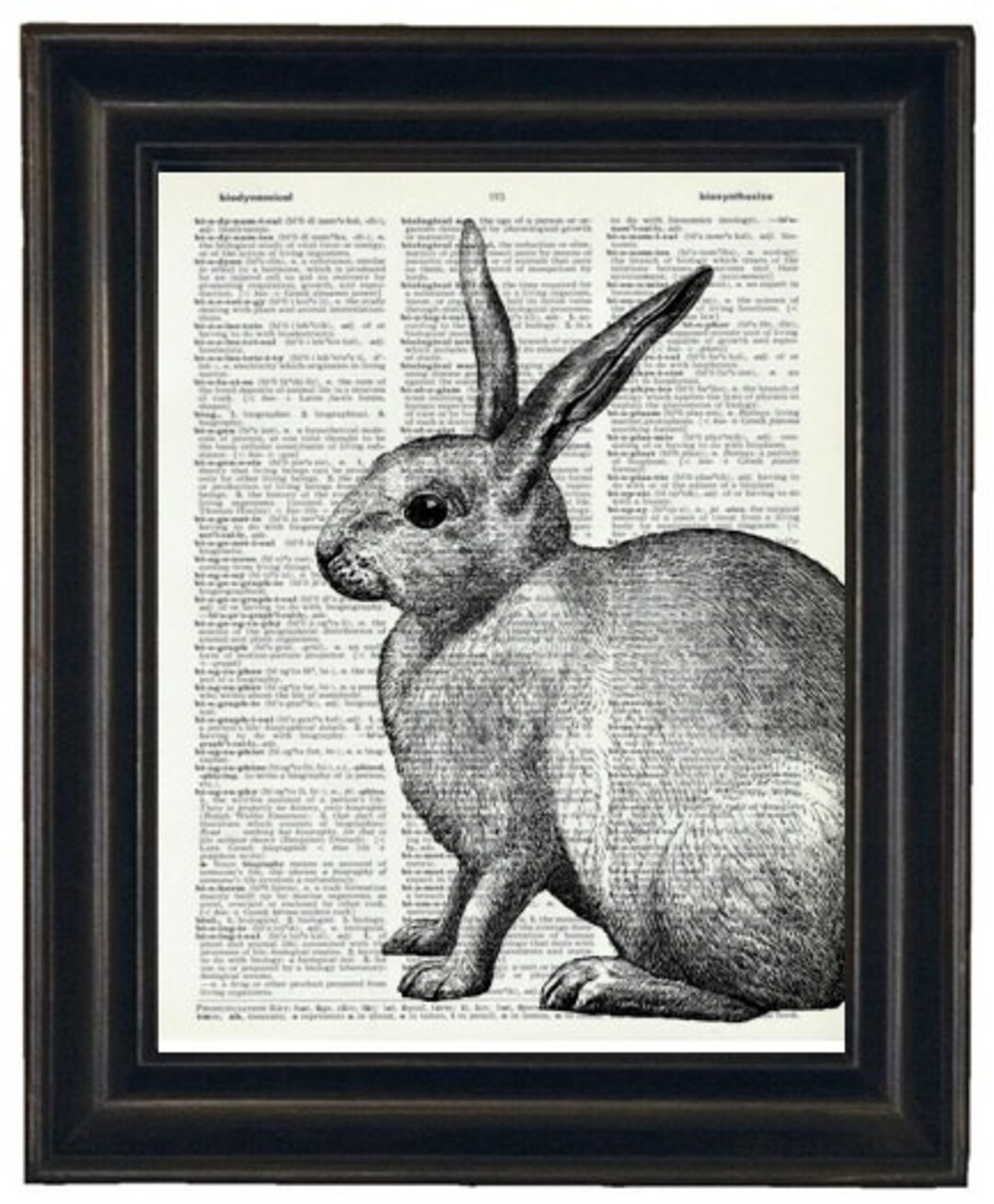 Rabbit Dictionary Art Print Rabbit Wall Decor Dictionary Print Book ...