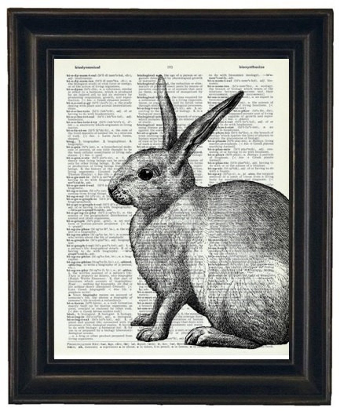 Rabbit Dictionary Art Print Rabbit Couple Wall Decor Dictionary Print ...