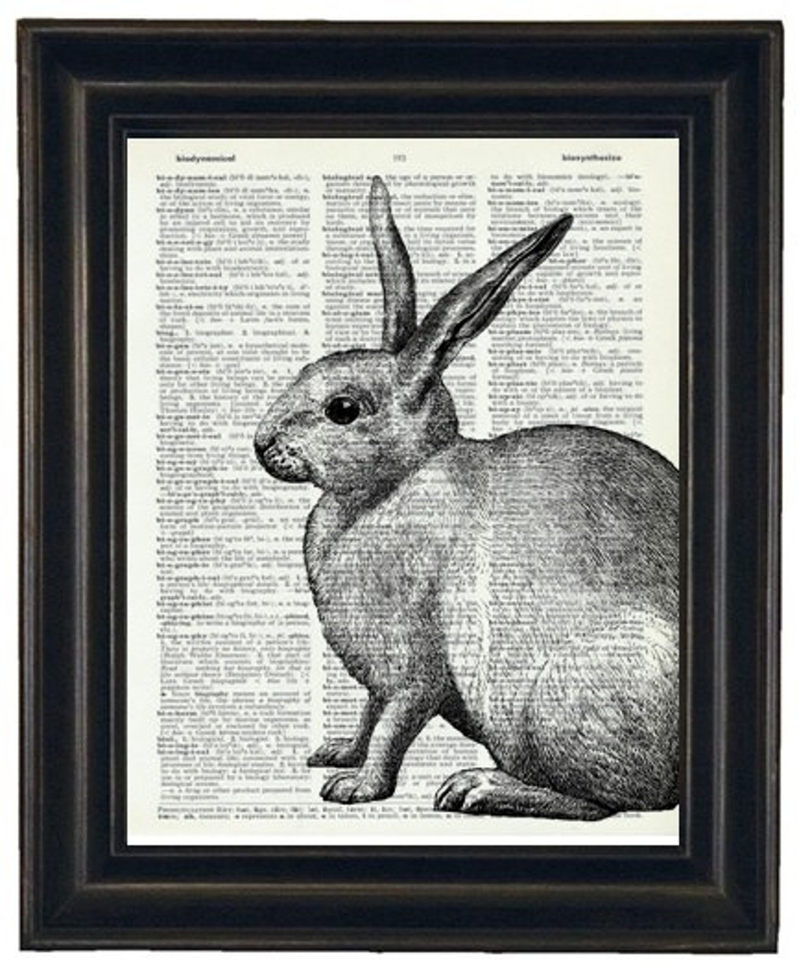 Rabbit Dictionary Art Print Rabbit Couple Wall Decor Dictionary Print ...