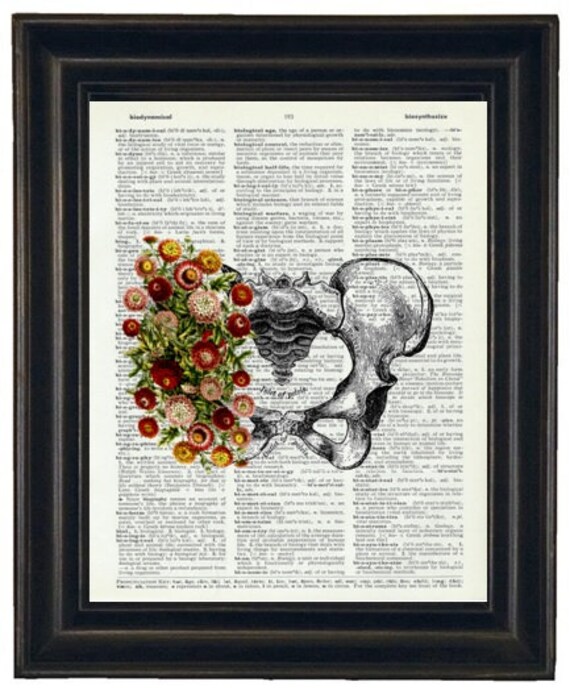 Pelvis Art Print HHP Original Design Pelvis With Flowers - Etsy