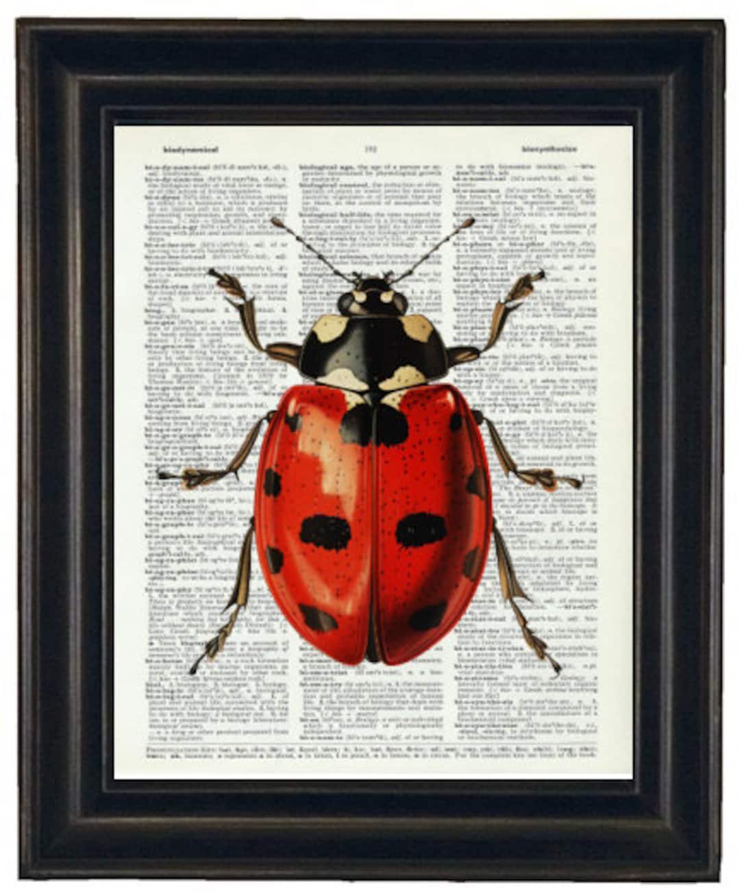 Ladybug Print, Ladybug Art, Dictionary Art Print Lady Bug Dictionary ...