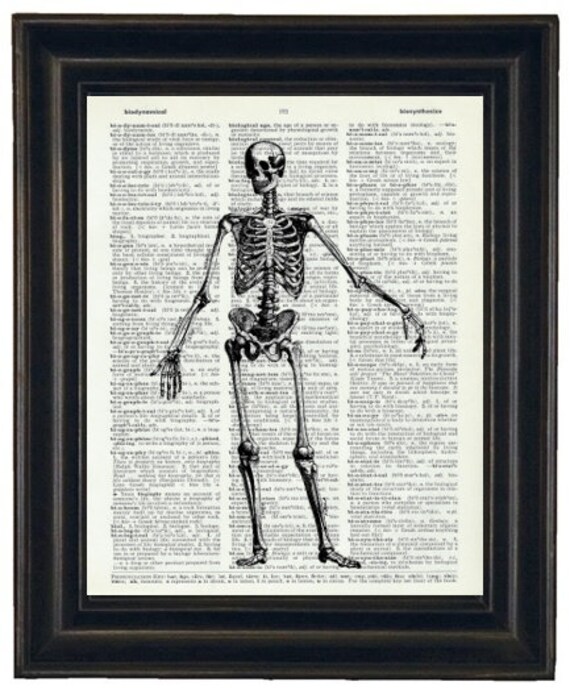 Skeleton Print Anatomy Prints Skeleton Wall Art | Etsy
