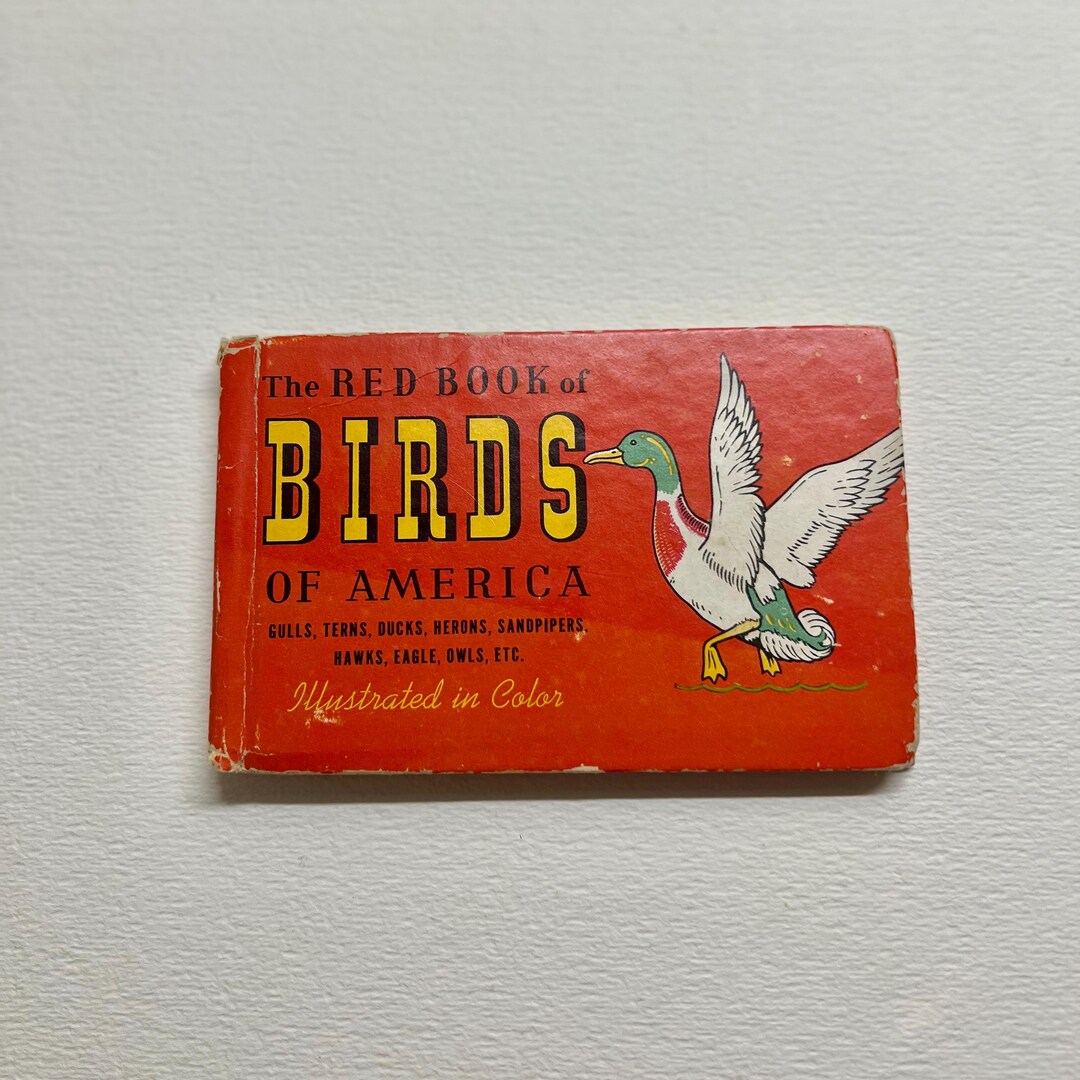 Vintage Red Book of Birds of America Illustrated 1931 1941 - Etsy